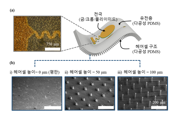 국내 연구진, 피부 트러블 없는 다공성 헤어셀 구조 웨어러블 센서 개발